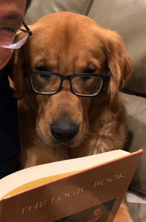 Kevin Phang | Code Portfolio Overview